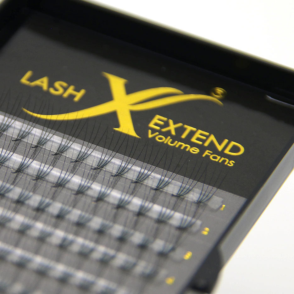 Prepared Volume lashes C curl - 4D - black – LASH EXTEND